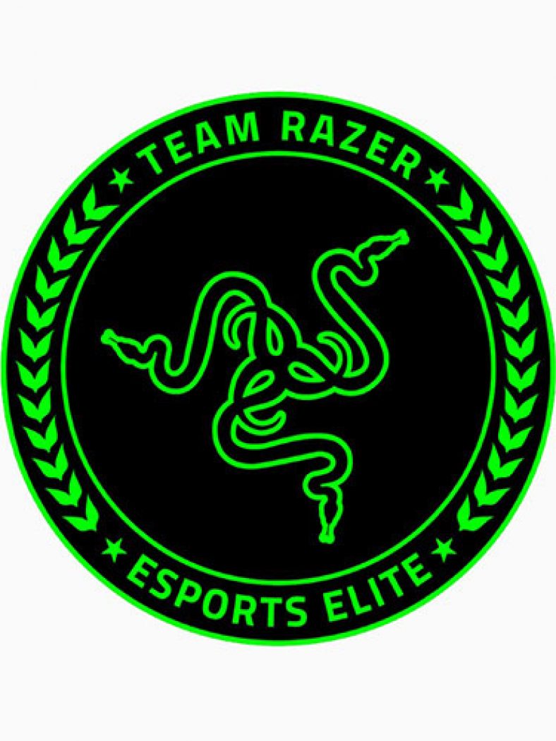Razer es patrocinador del equipo profesional de Esports Team Queso